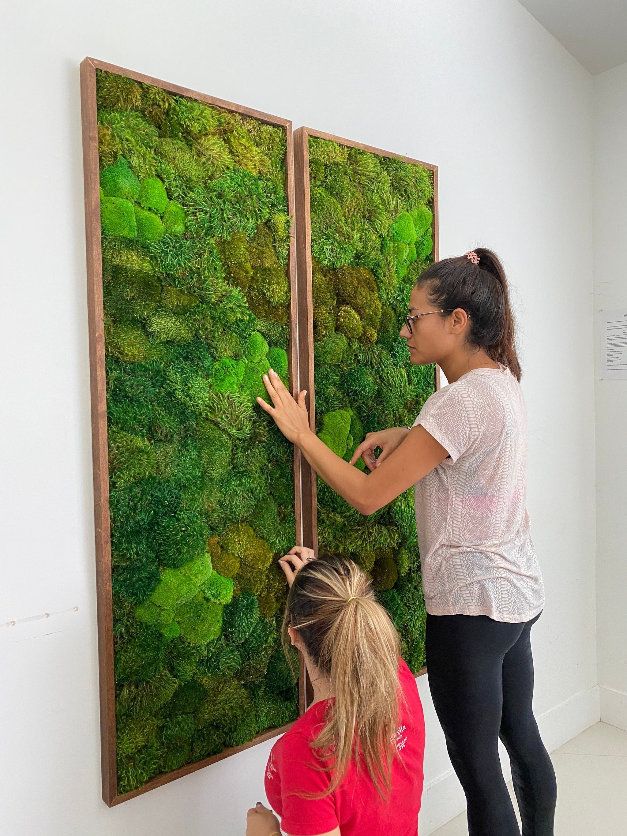 Moss Wall Art. Moss Art. Preserved Moss. Living wall. Plant wall decor