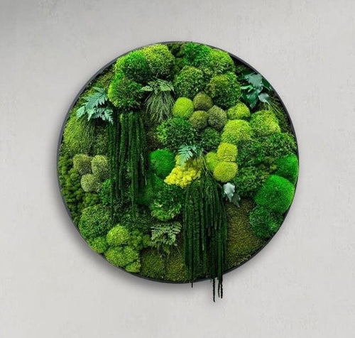 Large Moss wall art - Preserved Moss - Round art - circular art - gree