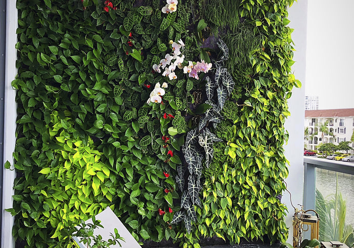 Living walls